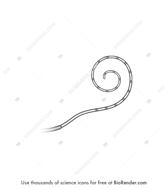 Free Cochlear implant (electrode array) Icons, Symbols & Images | BioRender