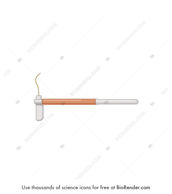 Free Von frey filament Icons, Symbols & Images | BioRender