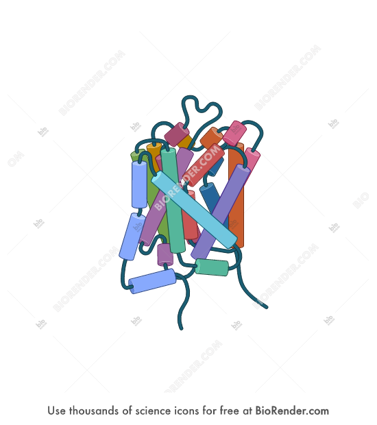 Free GABA transporter Icons, Symbols & Images | BioRender