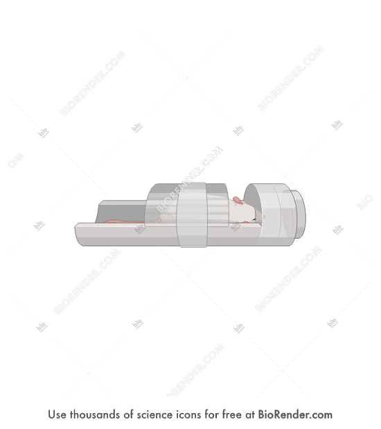 Free Mouse (for MRI machine) Icons, Symbols & Images | BioRender