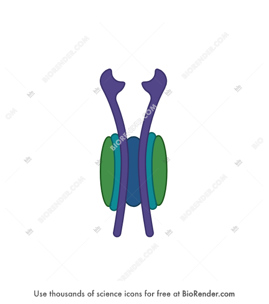 Free GPIb-IX-V complex Icons, Symbols & Images | BioRender