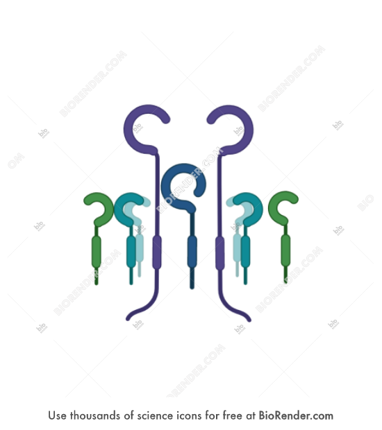 Free GPIb-IX-V complex 2 Icons, Symbols & Images | BioRender