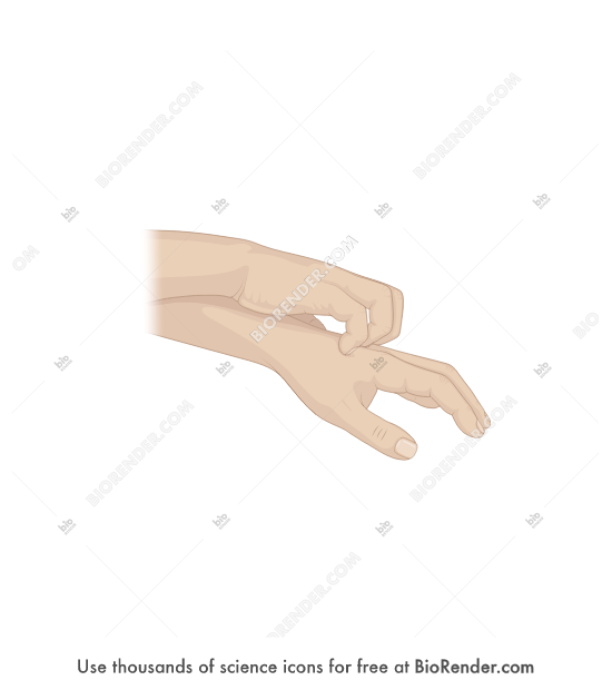 Free Hands (scratching) Icons, Symbols & Images | BioRender