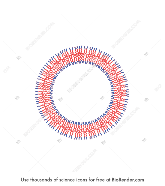 Free Polymersome Icons, Symbols & Images | BioRender