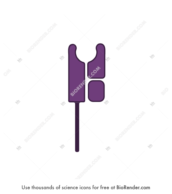 Free MHC class I Icons, Symbols & Images | BioRender