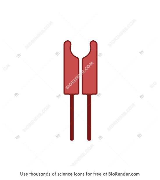 Free MHC class II Icons, Symbols & Images | BioRender