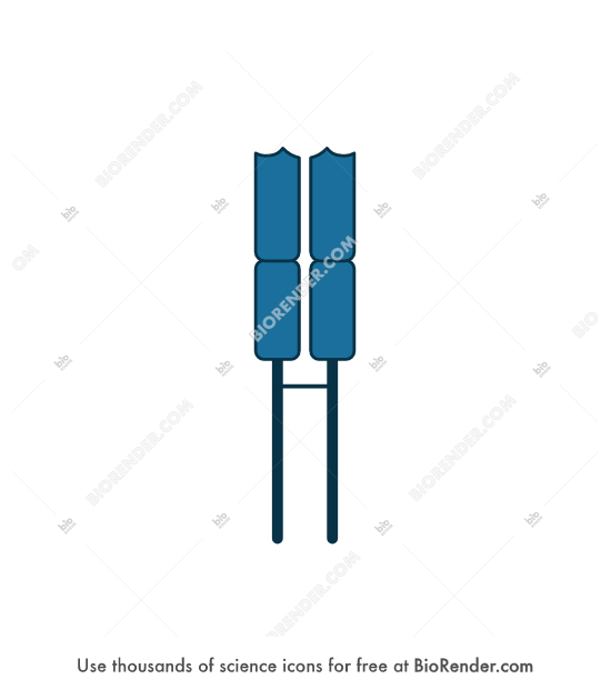 Free T cell receptor (TCR) Icons, Symbols & Images | BioRender