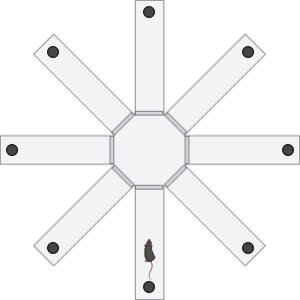 Radial arm maze (8 arms) | Editable Science Icons from BioRender