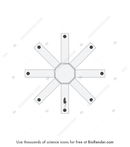 Free Radial arm maze (8 arms) Icons, Symbols & Images | BioRender