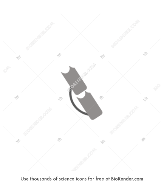 Free Antibody fragment (sdAb x 2) Icons, Symbols & Images | BioRender