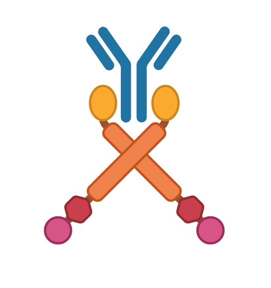 Free TRIM21 (with antibody) Icons, Symbols & Images | BioRender