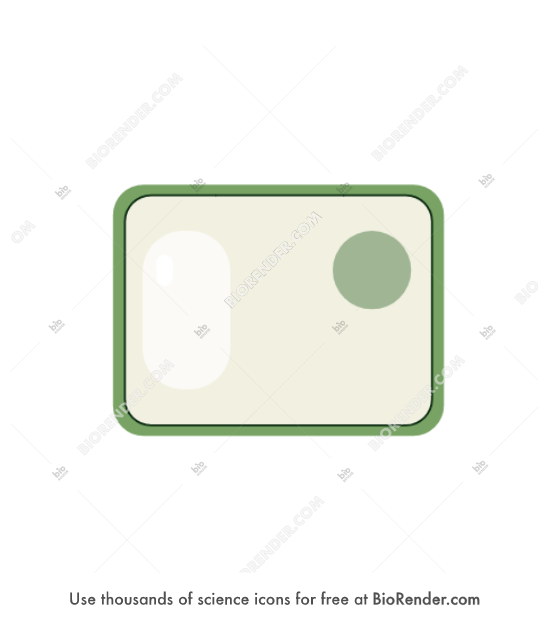 Free Plant cell 1 Icons, Symbols & Images | BioRender