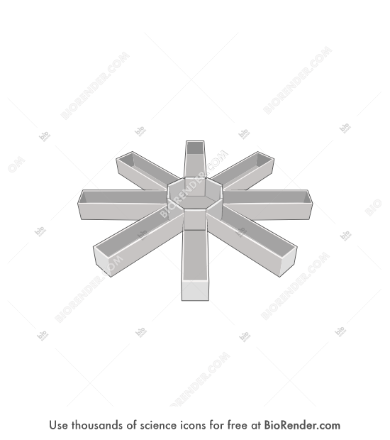 Free Radial arm maze (8 arms, 3D) Icons, Symbols & Images | BioRender
