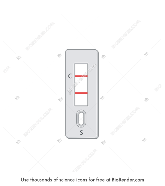 Free Lateral flow test (positive) Icons, Symbols & Images | BioRender
