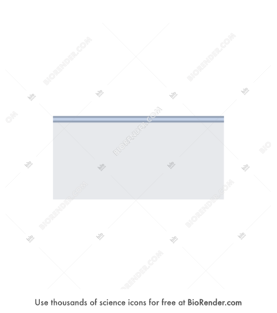 Free Membrane (bilayer, filled) Icons, Symbols & Images | BioRender