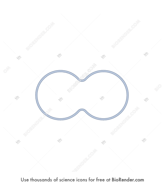 Free Endosome membrane (early 2) Icons, Symbols & Images | BioRender