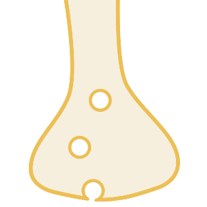 Synaptic cleft (with vesicles) | Editable Science Icons from BioRender