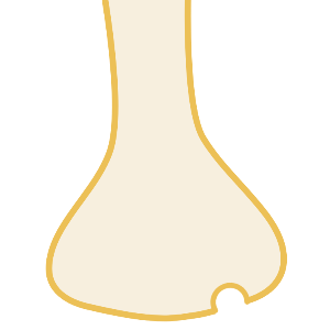 Synaptic cleft (with vesicles) | Editable Science Icons from BioRender