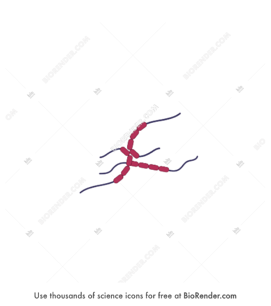 Free Tau protein tangle Icons, Symbols & Images | BioRender