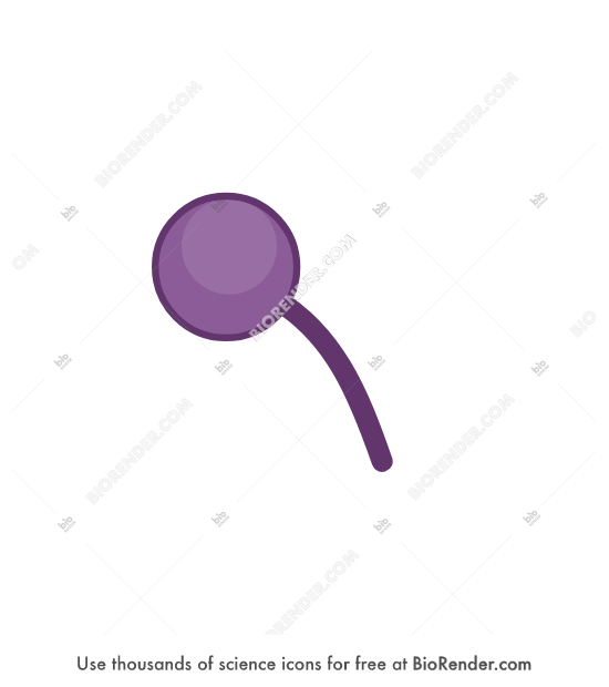 Free DNA gyrase (CTD) Icons, Symbols & Images | BioRender
