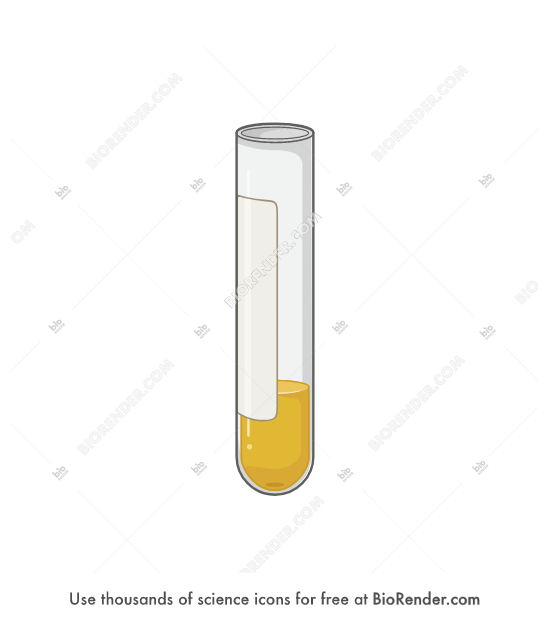 Free Blood vial (plasma, labelled) Icons, Symbols & Images | BioRender