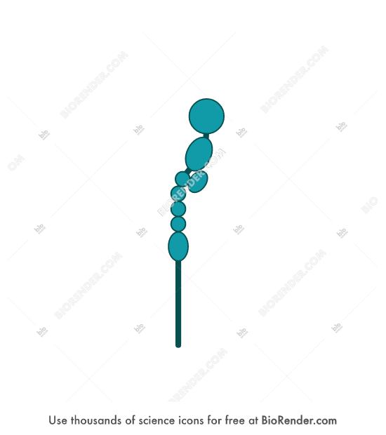 Free Integrin (beta, monomer, extended 2) Icons, Symbols & Images ...