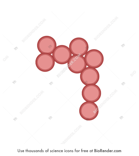 Free Protein particulate (cluster) Icons, Symbols & Images | BioRender