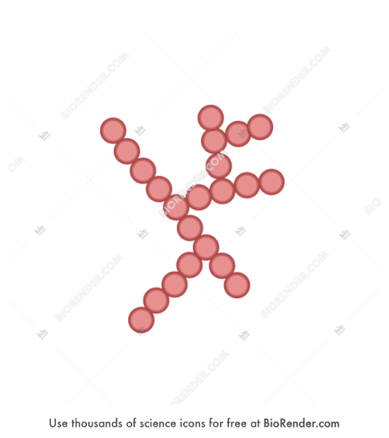 Free Protein particulate (branched) Icons, Symbols & Images | BioRender