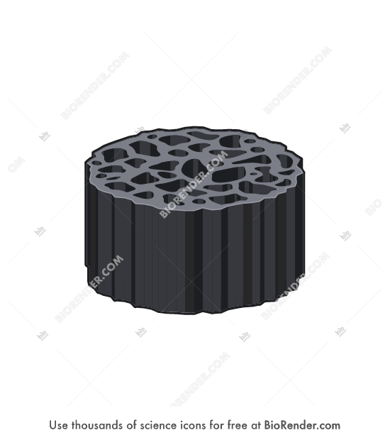 Free Porous silicon nanoparticle Icons, Symbols & Images | BioRender