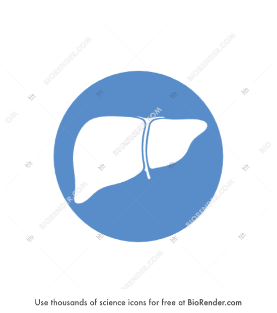 Free Liver icon (on circle) Icons, Symbols & Images | BioRender