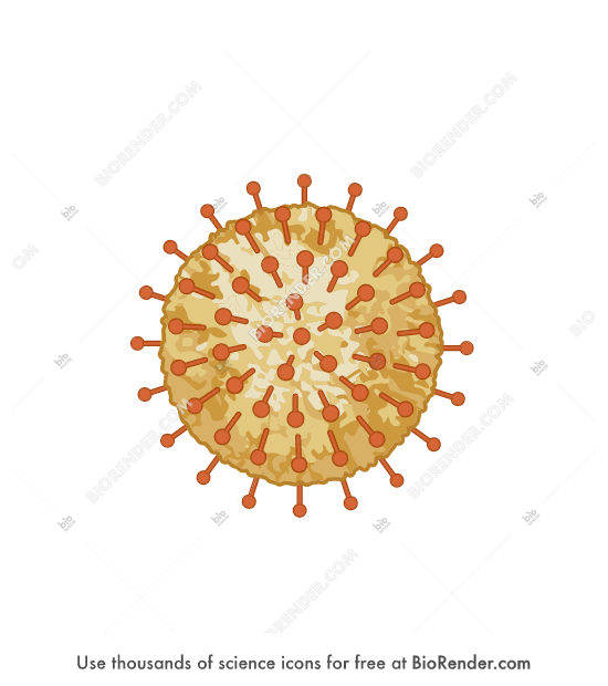 Free Epstein-Barr virus (3D) Icons, Symbols & Images | BioRender