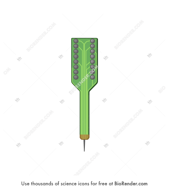 Free Neural probe Icons, Symbols & Images | BioRender