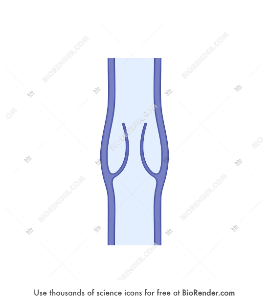 Free Venous valve (open) Icons, Symbols & Images | BioRender