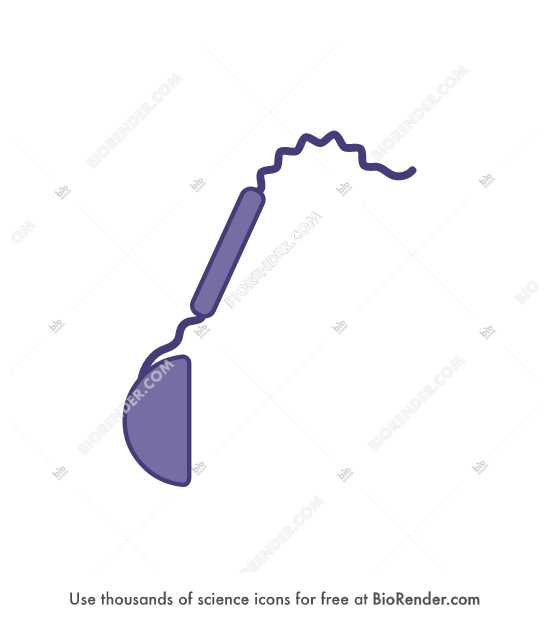 Free PhD (antitoxin, monomer) Icons, Symbols & Images | BioRender