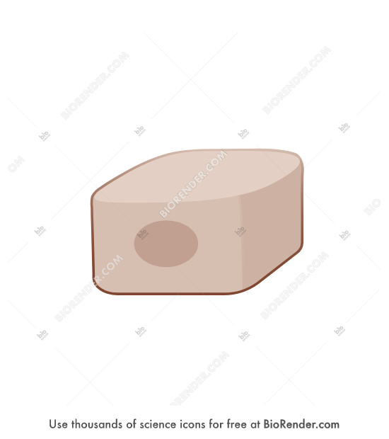 Free Epithelial cell (simple, cuboidal) Icons, Symbols & Images | BioRender