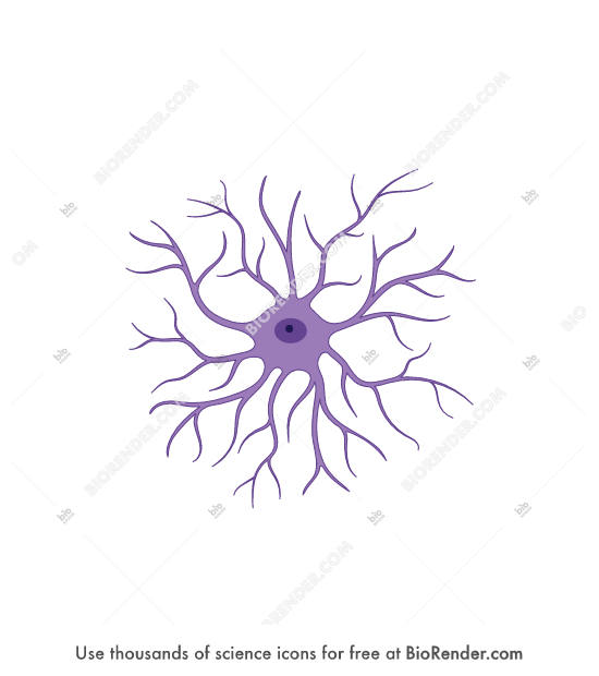Free Astrocyte (reactive) Icons, Symbols & Images | BioRender