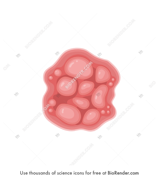 Free Cold Sore Icons, Symbols & Images | BioRender