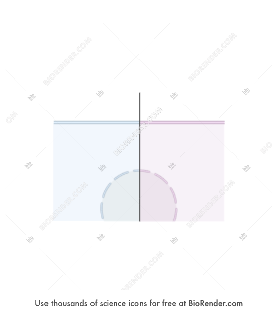 Free Membrane (bilayer, 2 cell comparison) Icons, Symbols & Images ...