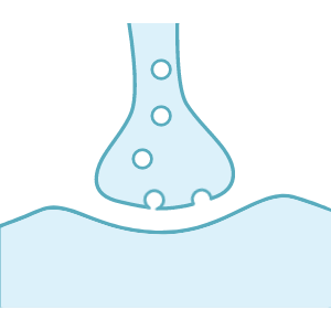 Synaptic cleft (with vesicles) | Editable Science Icons from BioRender