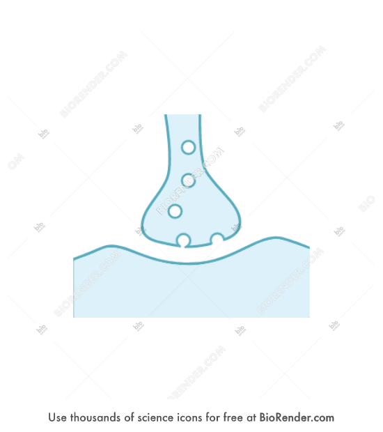 Free Synaptic cleft vertical Icons, Symbols & Images | BioRender