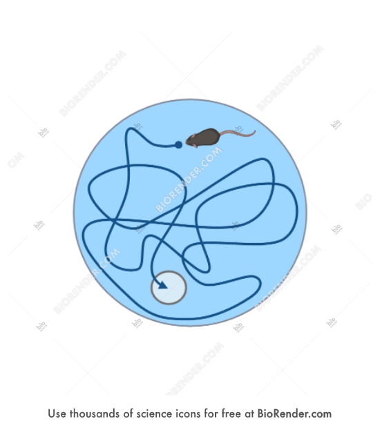 Free Morris water maze (top view 1) Icons, Symbols & Images | BioRender