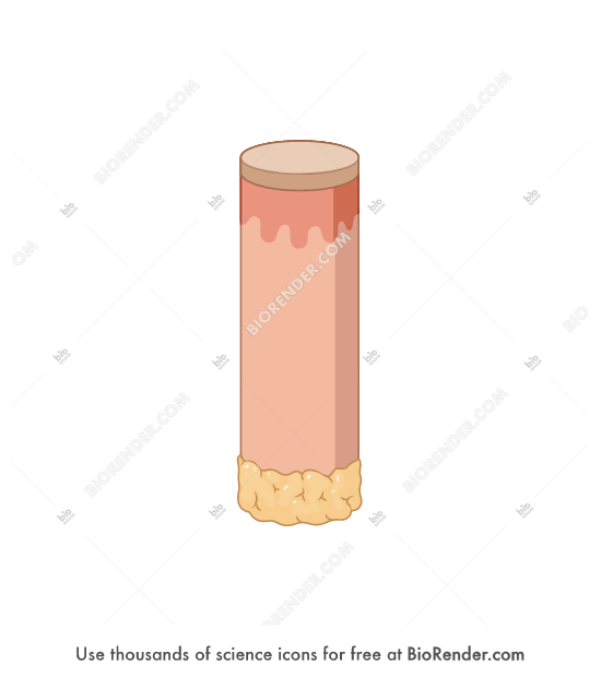 Free Skin tissue cube (biopsy) Icons, Symbols & Images | BioRender