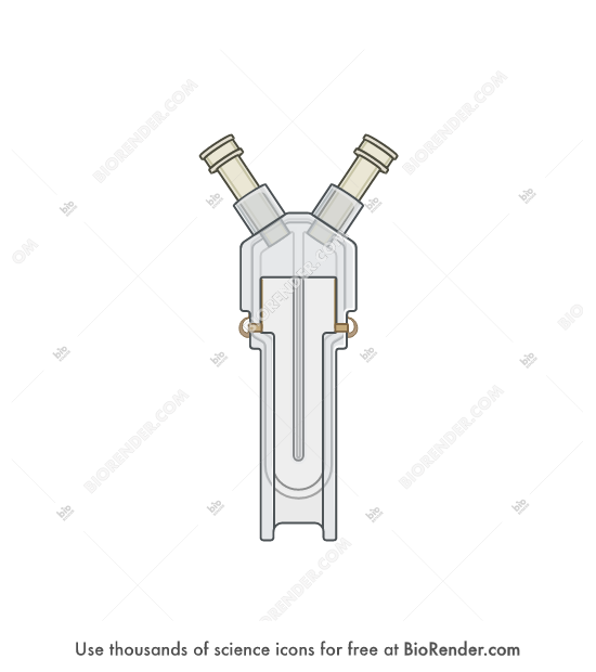 Free Folded capillary zeta cell Icons, Symbols & Images | BioRender