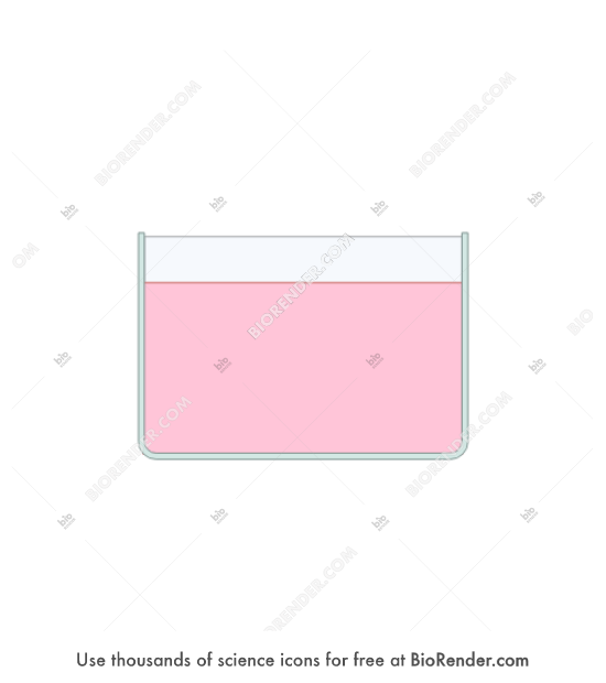 Free Well plate (side view, 6) Icons, Symbols & Images | BioRender