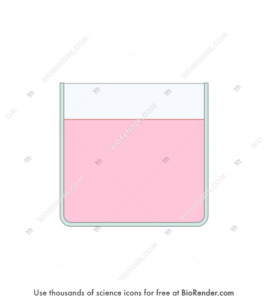 Free Well plate (side view, 4) Icons, Symbols & Images | BioRender