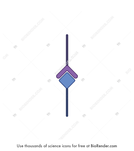 Free Generic receptor-ligand pair (diamond) Icons, Symbols & Images ...