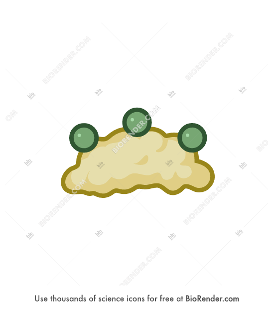 Free Bile salt Icons, Symbols & Images | BioRender