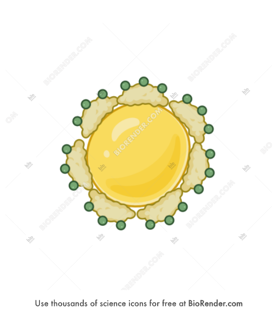 Free Fat droplet (bile salt emulsified 2) Icons, Symbols & Images ...