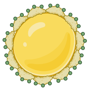 Free Micelle (one-tail lipid) Icons, Symbols & Images | BioRender