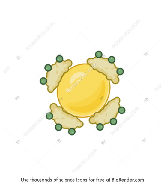 Free Fat droplet (bile salt emulsified 3) Icons, Symbols & Images ...